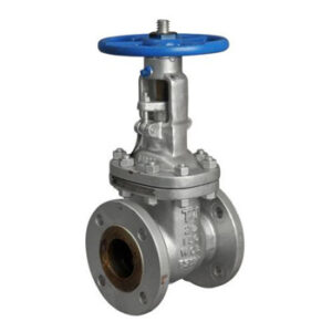 Gate Valve DN25